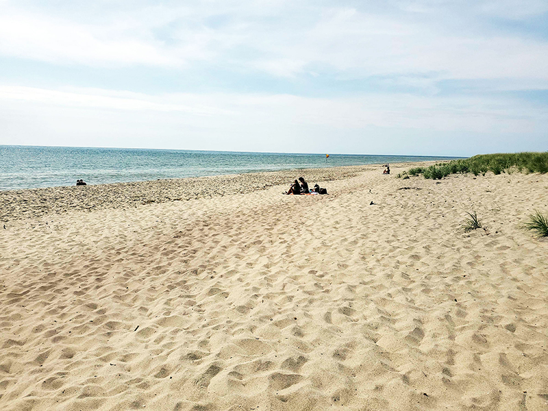 Sconset Beach - Insider's Guide to Nantucket