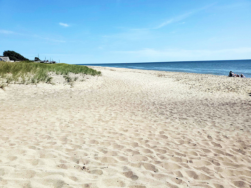 Sconset Beach - Insider's Guide to Nantucket